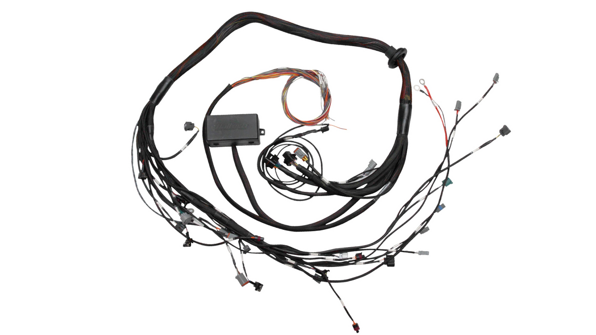 Elite 2000/2500 Toyota 2JZ engine wiring kit terminated with connectors ...